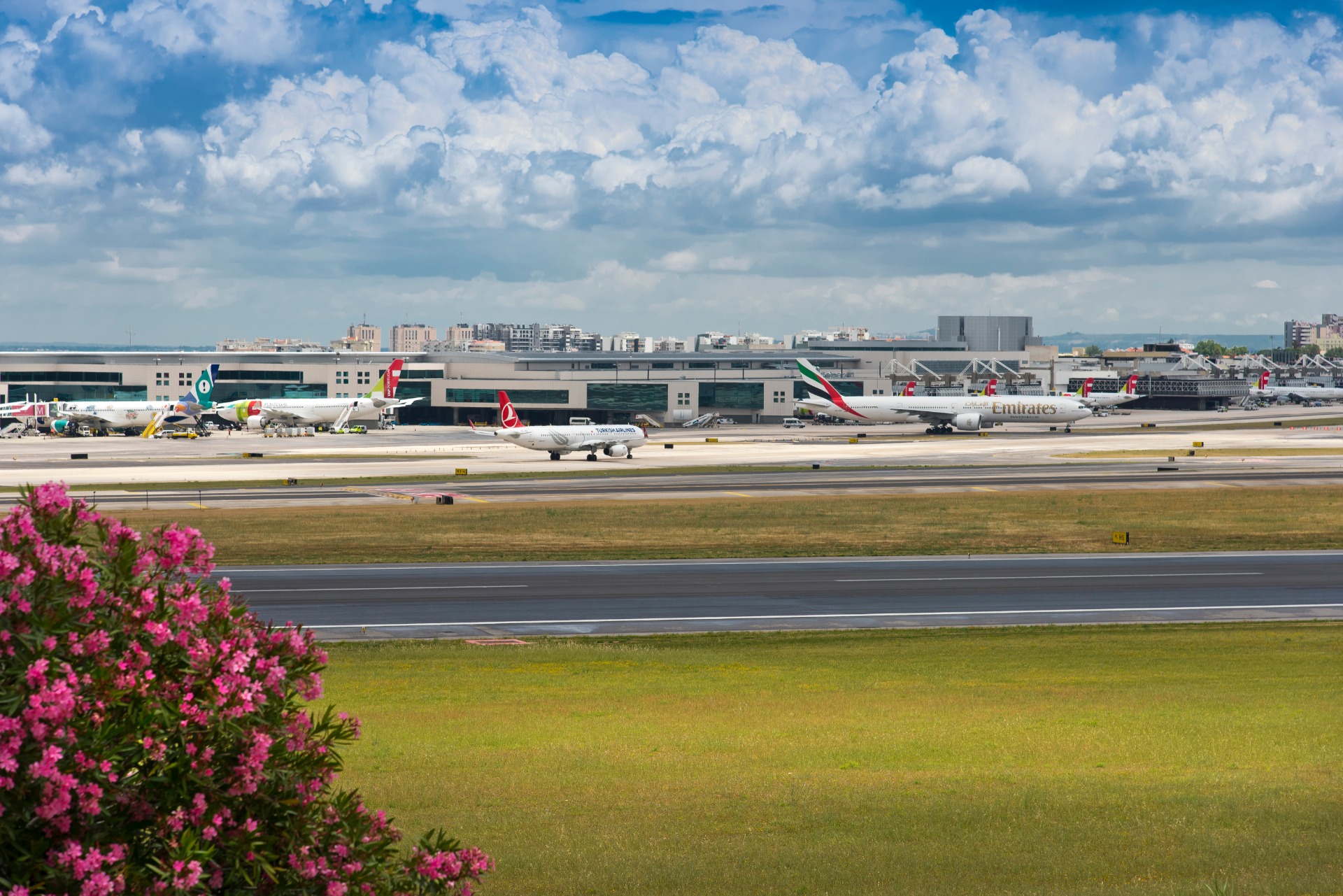 ANA-Vinci, Galp, CaetanoBus and Mitsui assess green H2 potential to cut ...